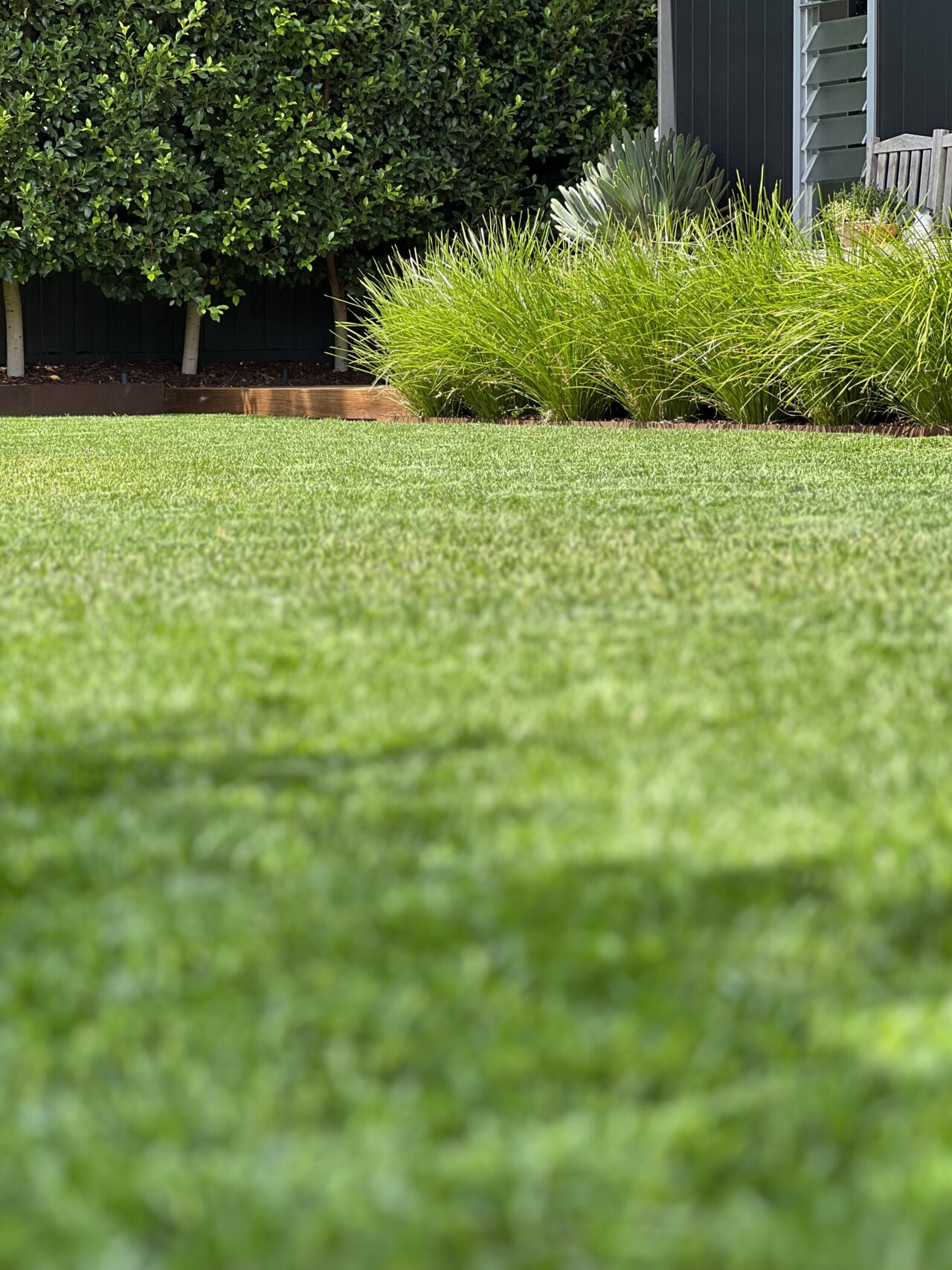 Instant Turf Mornington Peninsula - Huddlestone Landscapers